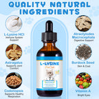 Support your cat's overall wellness