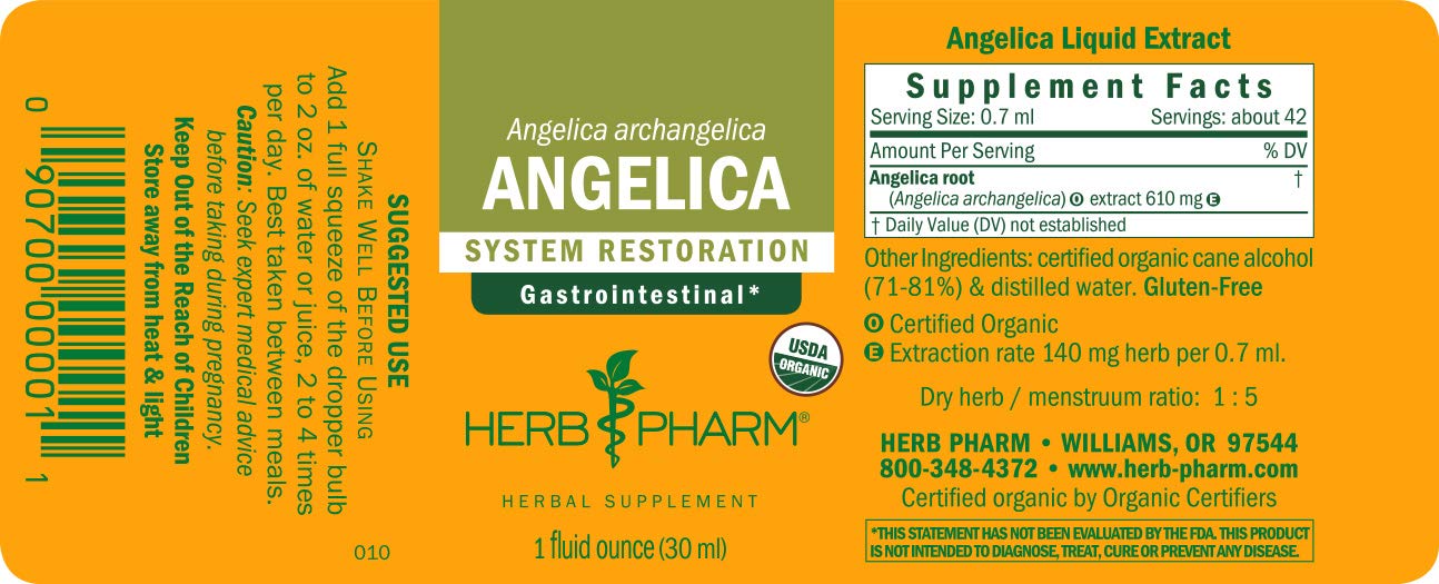 support your digestive system naturally