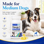support your dog's coat health