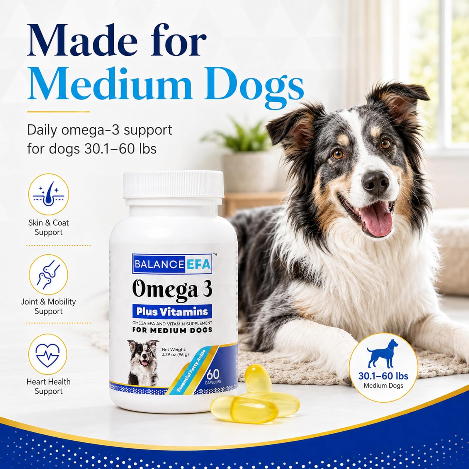 support your dog's coat health