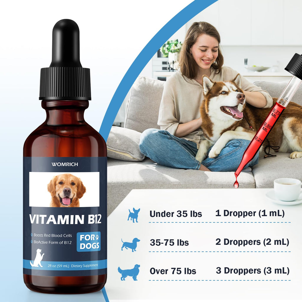 support your dog's energy levels
