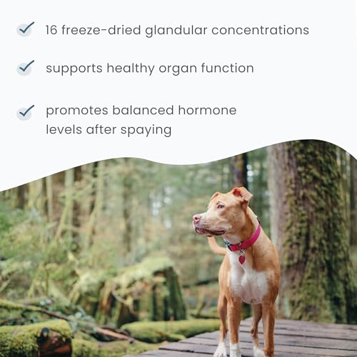 support your dog's glandular system
