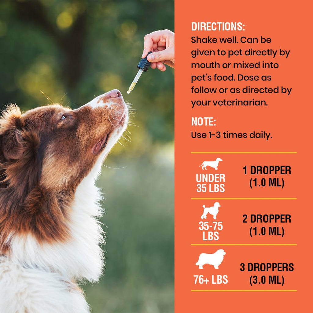 support your dog's immune system