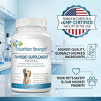 support your dog's wellness with minerals