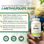 support your energy levels naturally