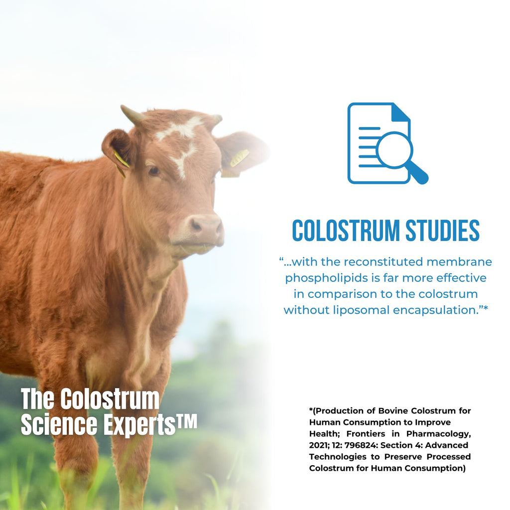 support your gut with colostrum powder