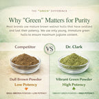 support your gut with detox tea