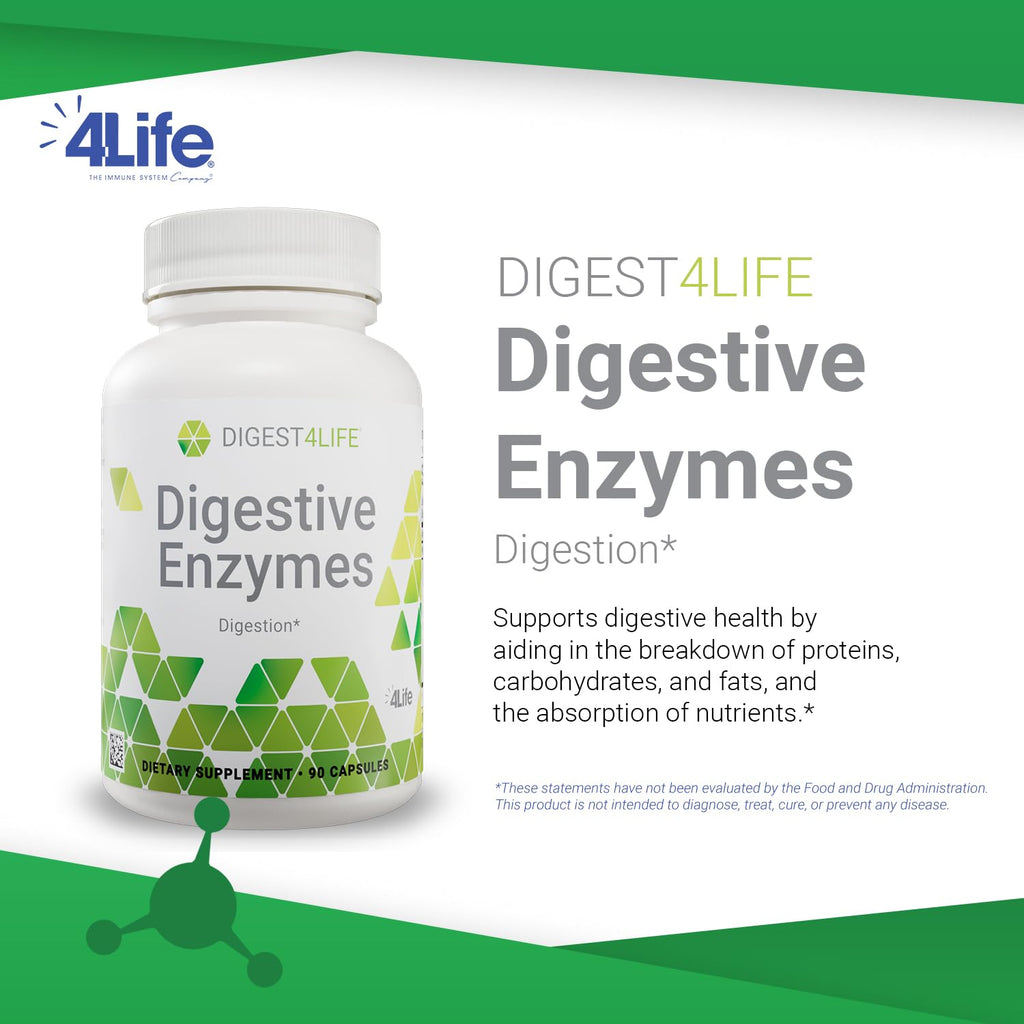 support your gut with digestive enzymes