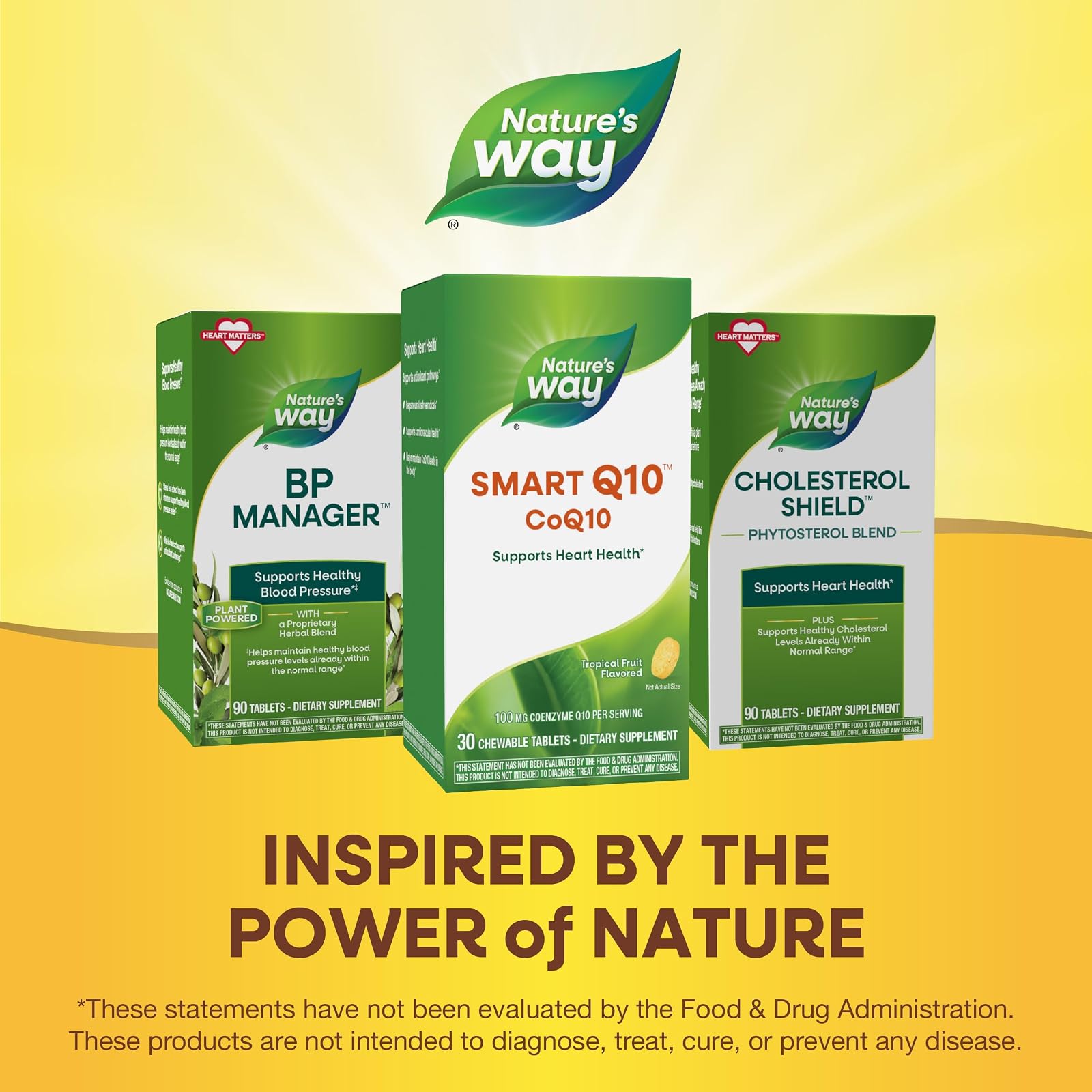 support your health with coq10