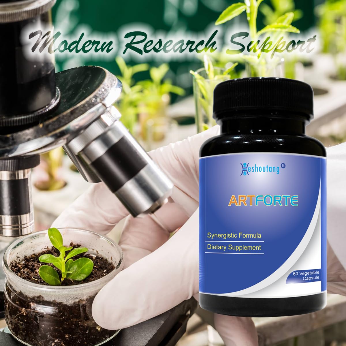 support your health with elderberry extract