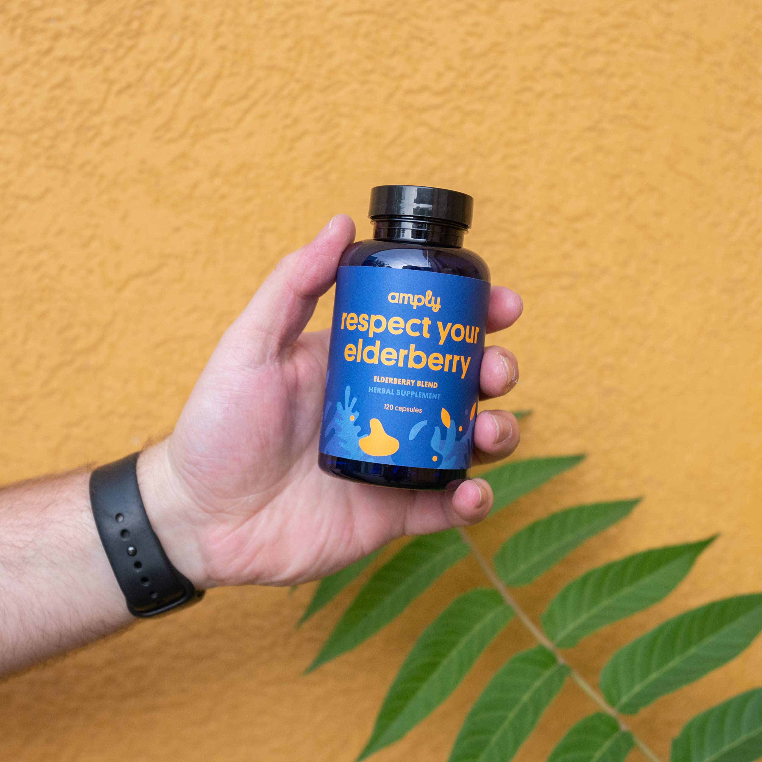 support your health with elderberry