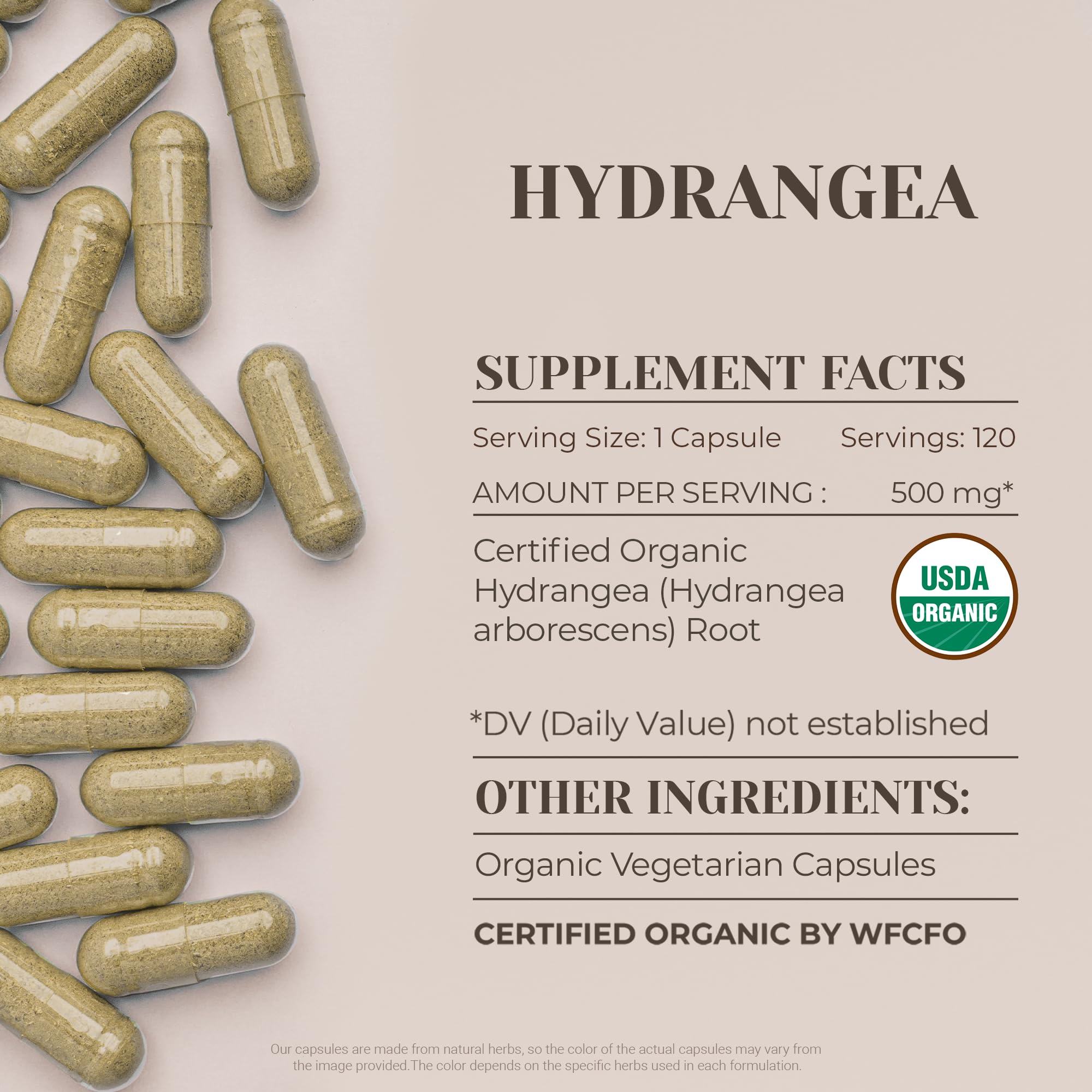 support your health with hydrangea