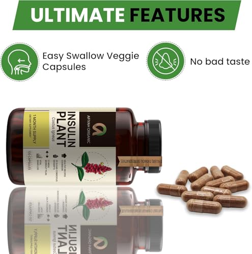 Support your health with insulin plant