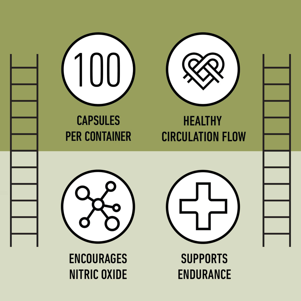 support your health with olive leaf