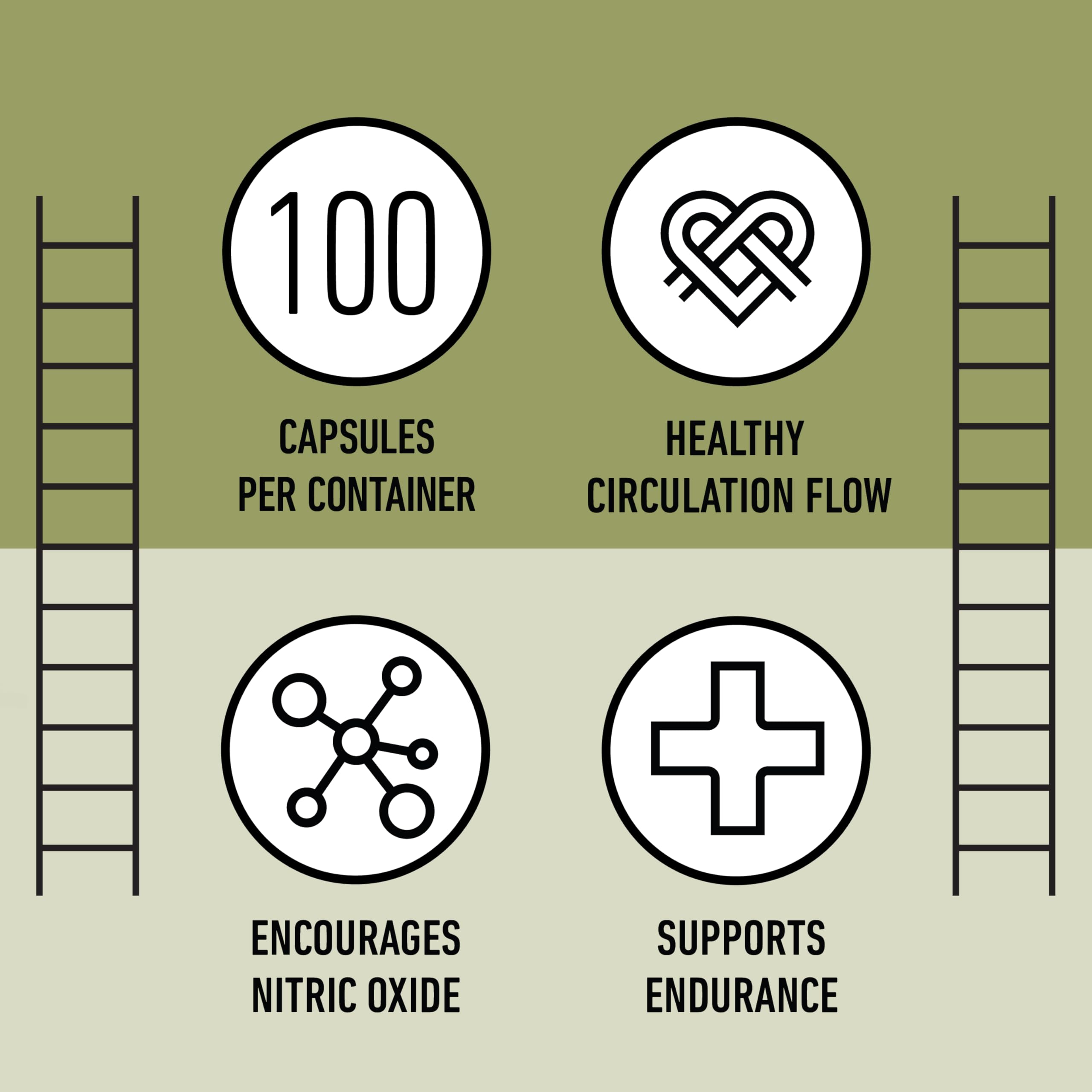 support your health with olive leaf