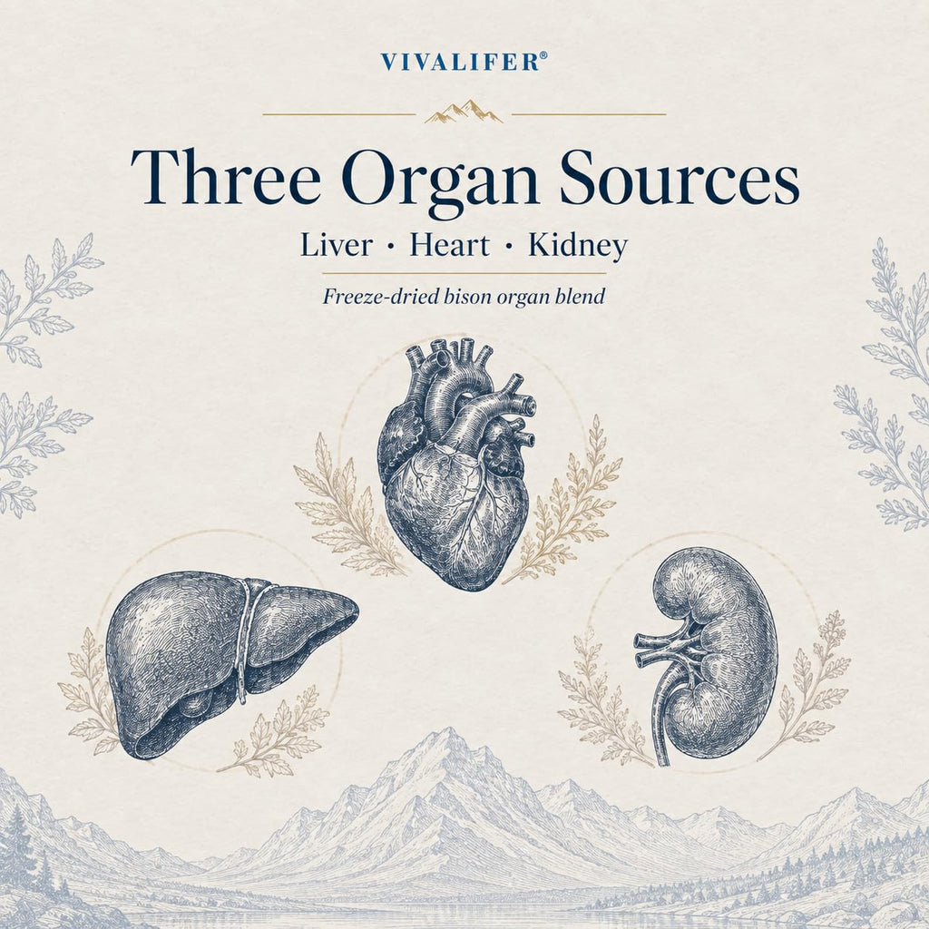 support your health with organ supplements