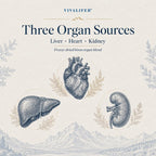 support your health with organ supplements