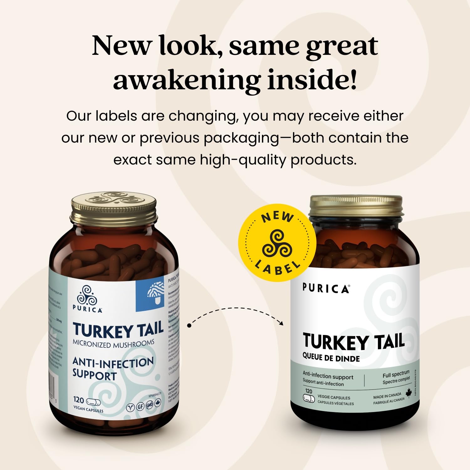 Support your health with Turkey Tail