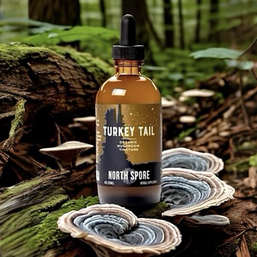 Support your health with turkey tail
