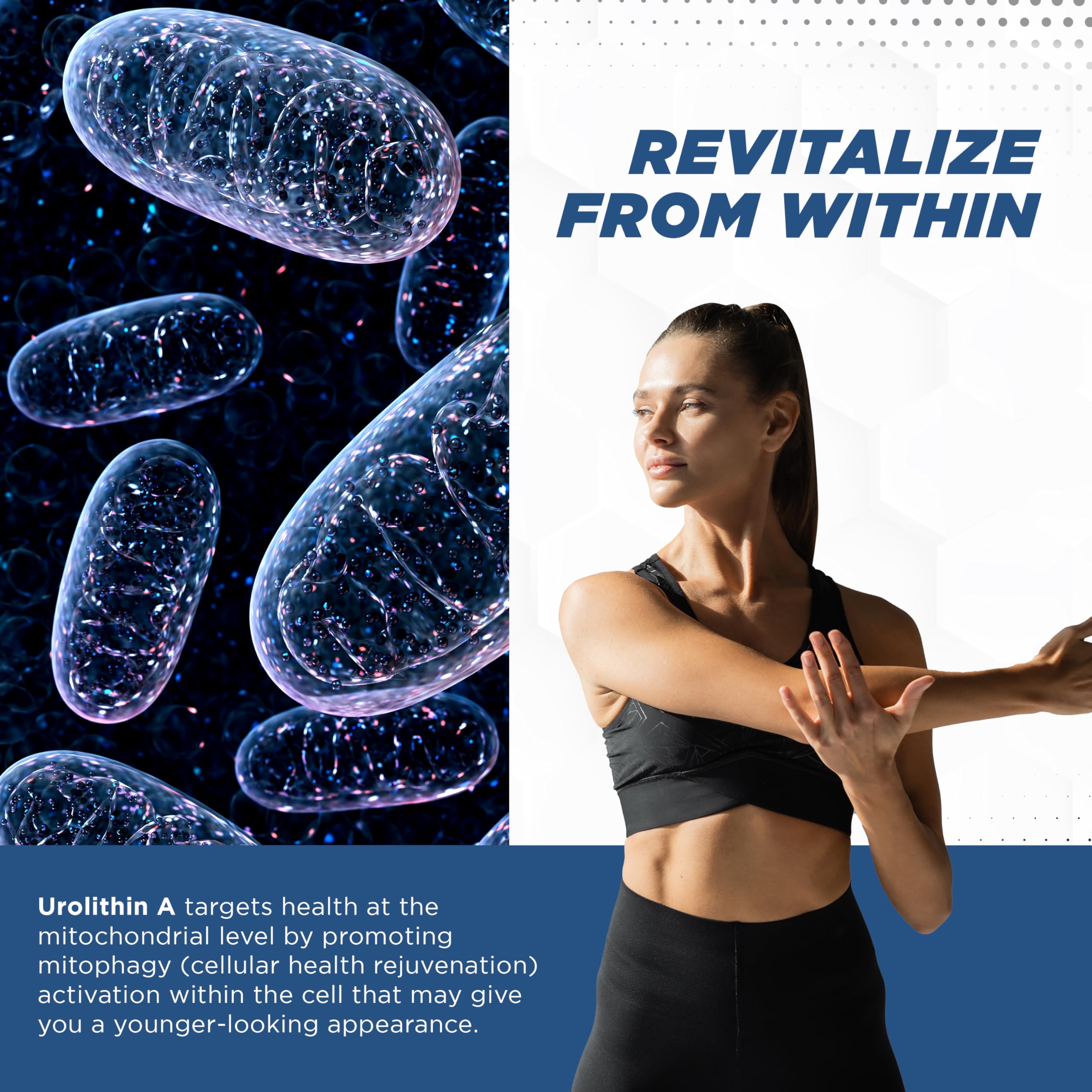 support your health with urolithin A