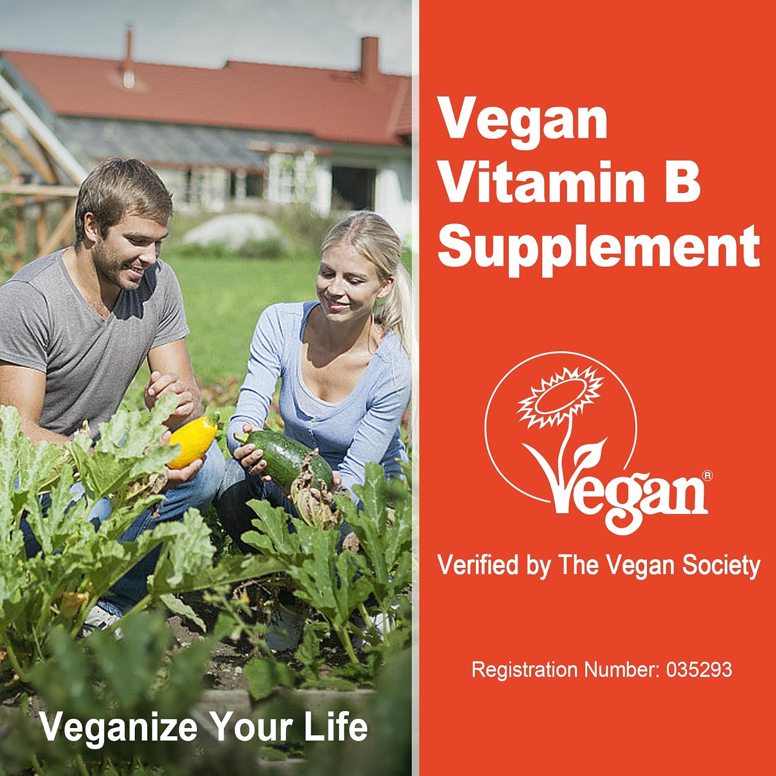support your health with vitamin b complex