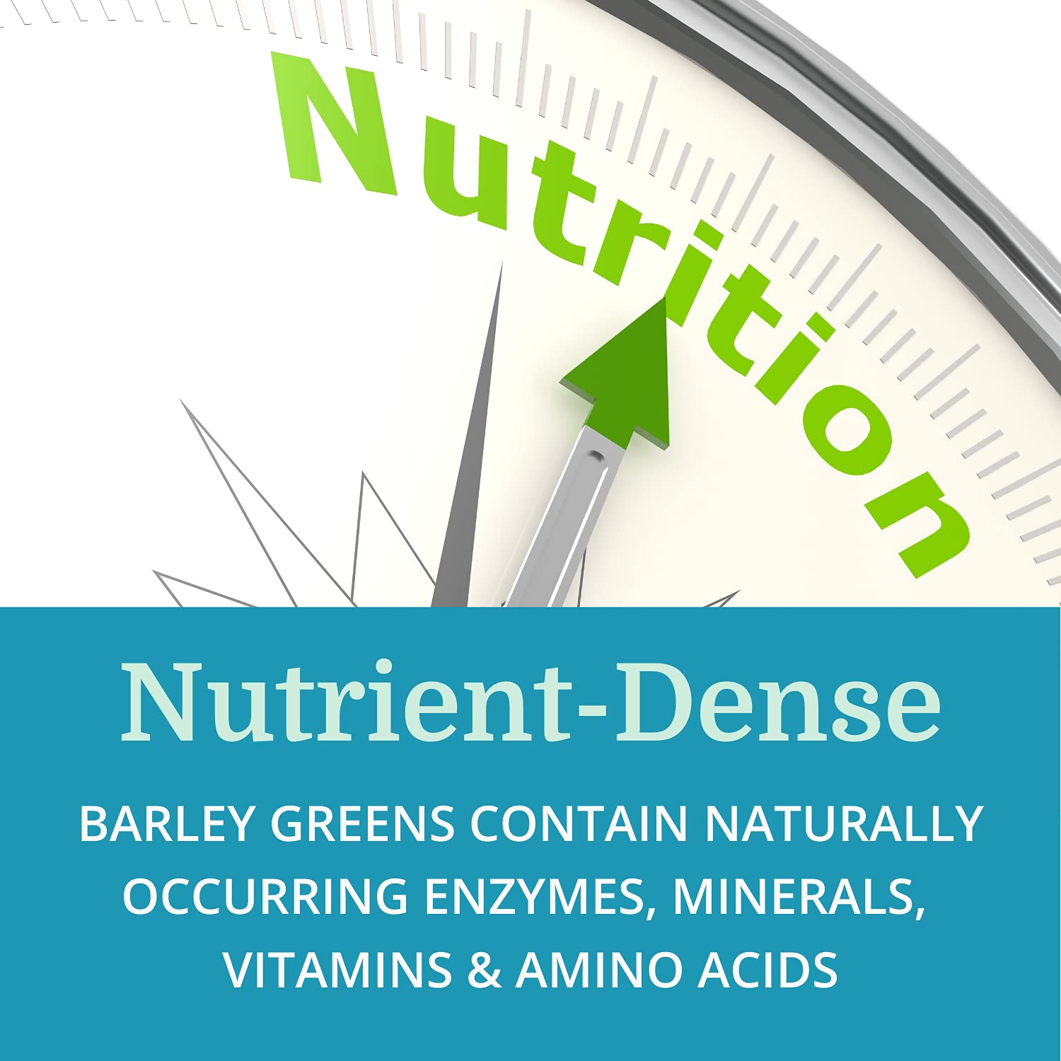 support your immune system health