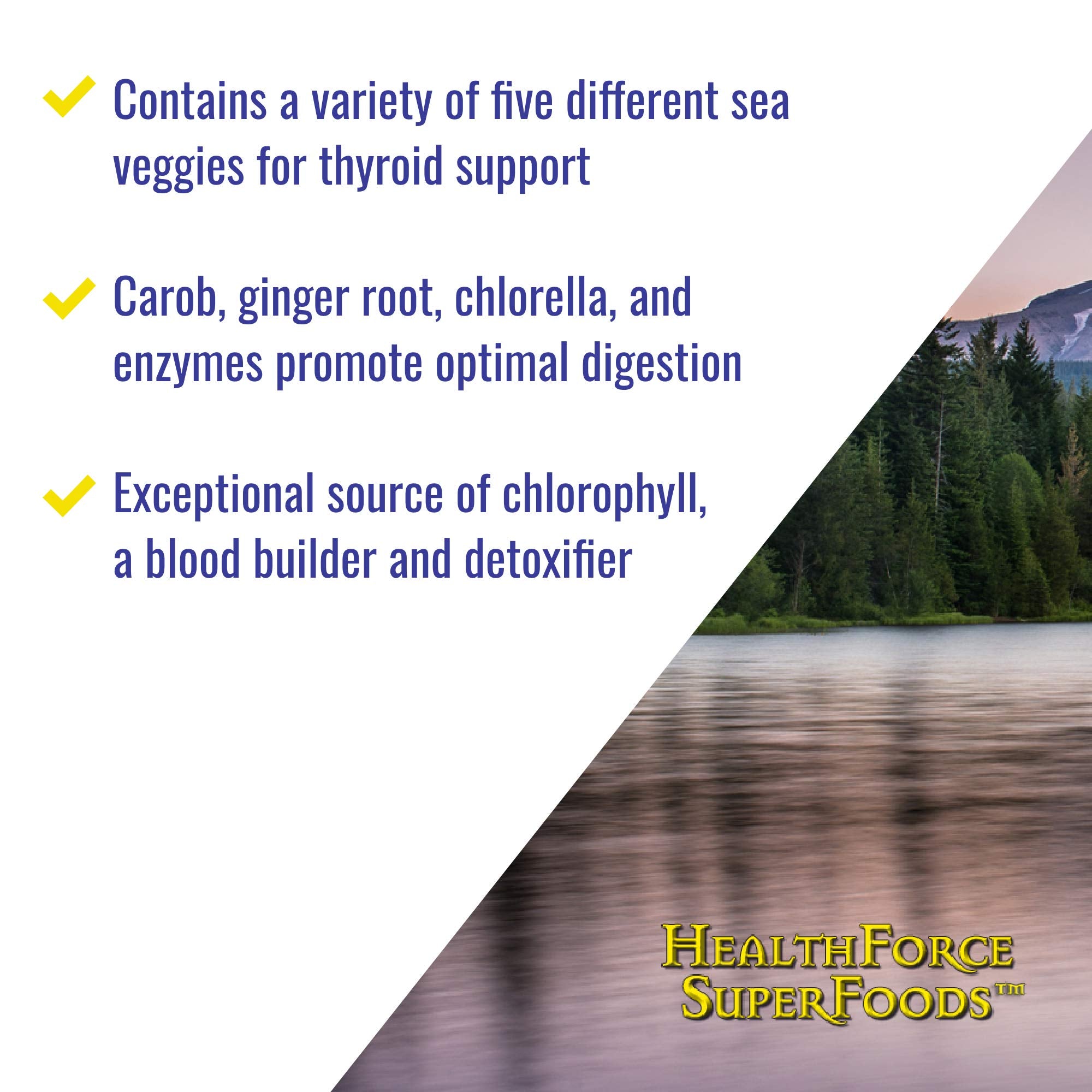 support your immune system naturally
