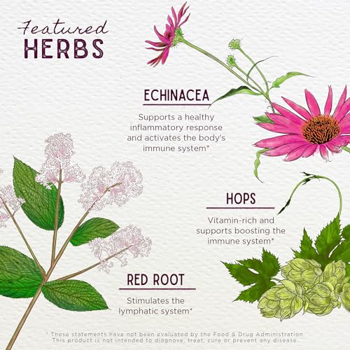 Support your immune system naturally