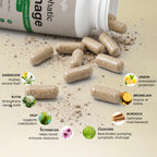Support your immune system naturally