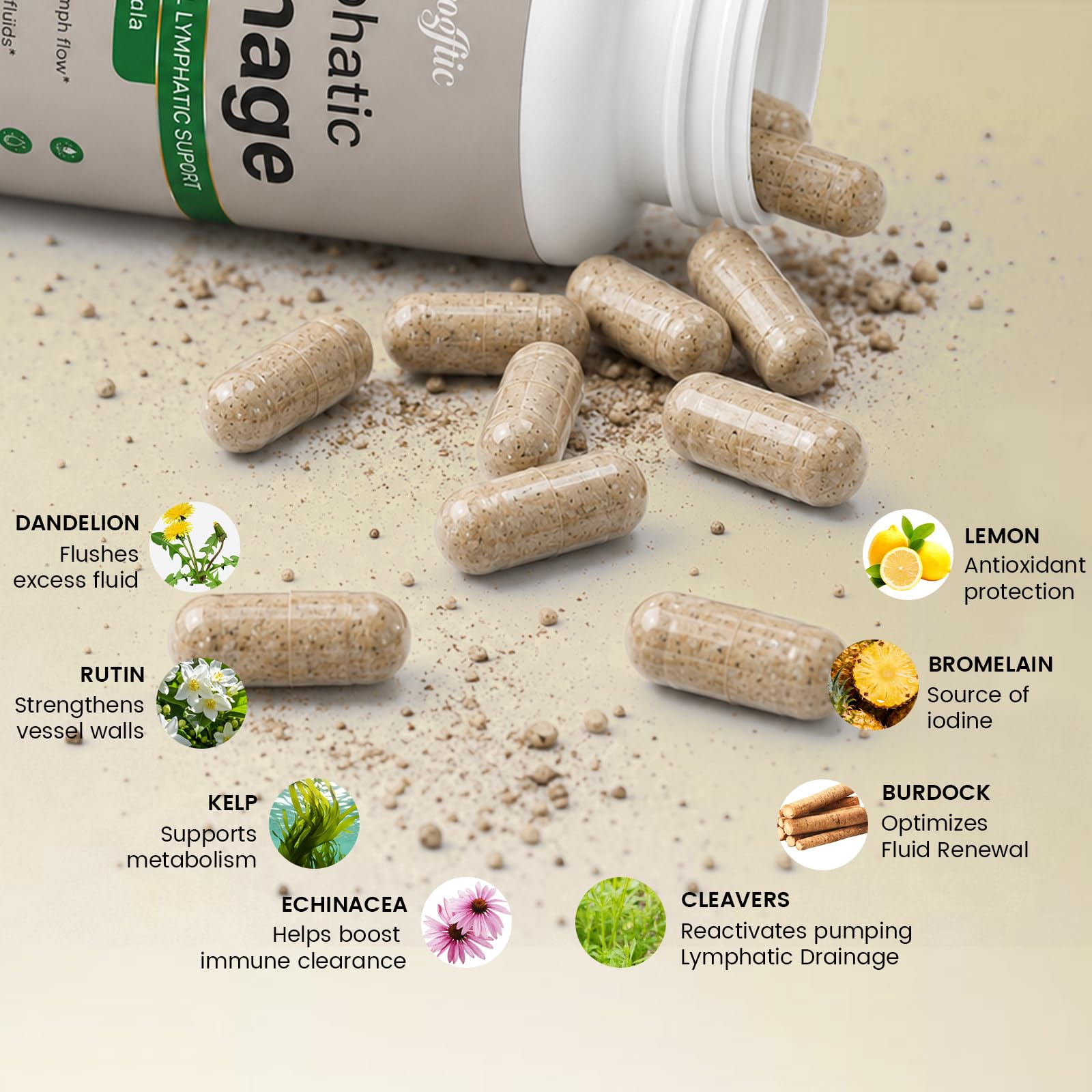 Support your immune system naturally