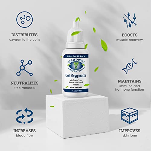 support your immune system naturally