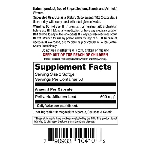 support your immune system naturally