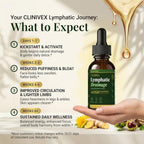 support your immune system naturally