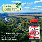 support your immune system naturally