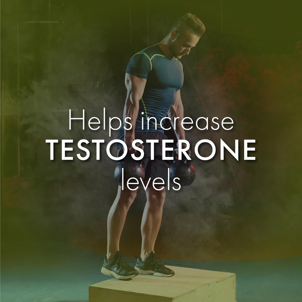 support your immune system naturally