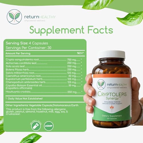 support your immune system naturally
