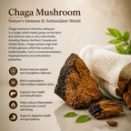 Support your immune system naturally