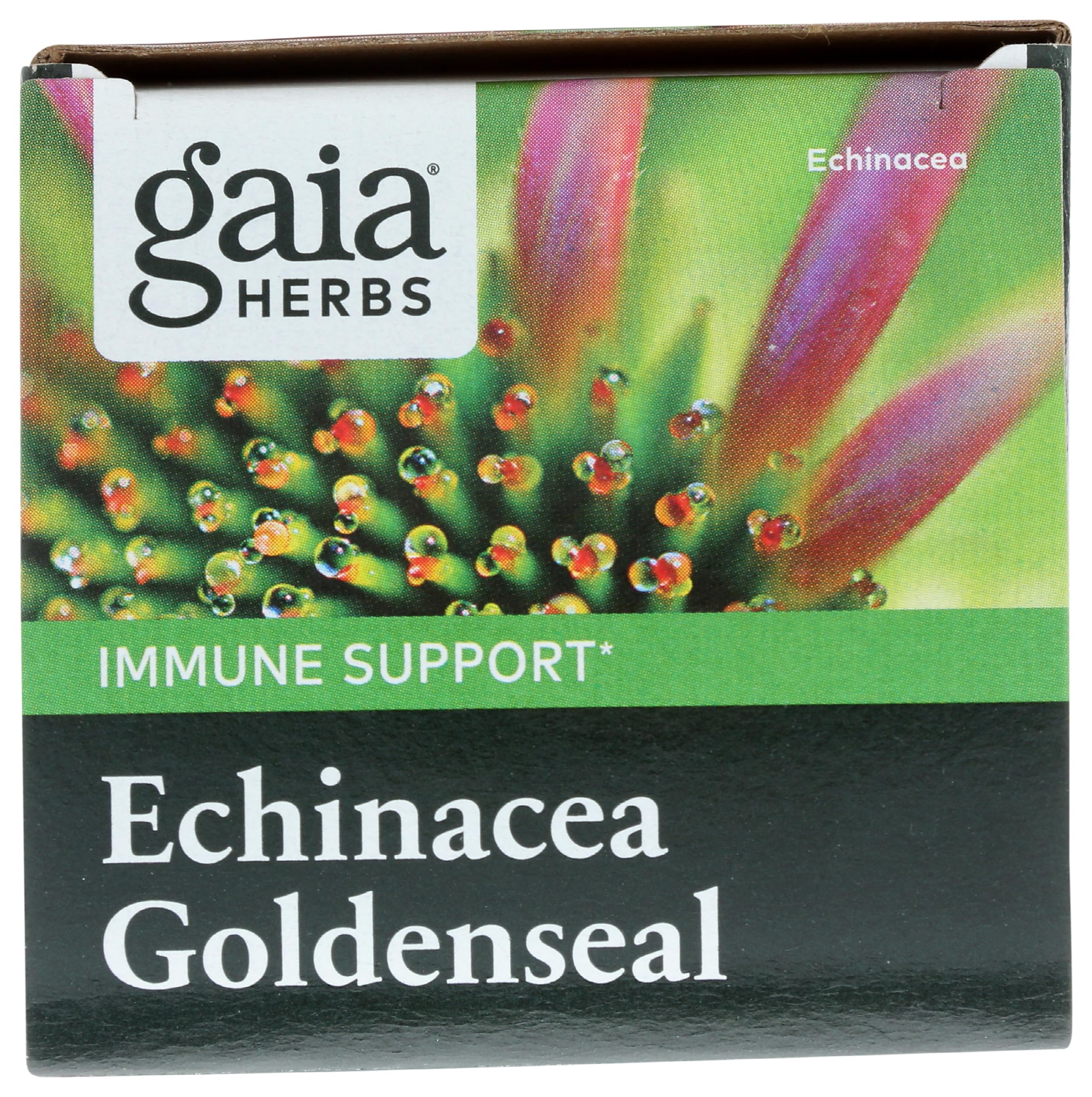 support your immune system naturally