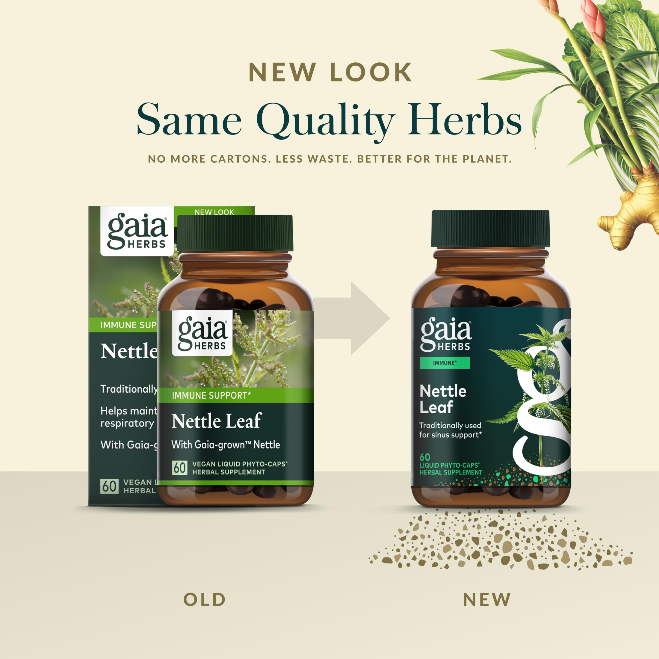 support your immune system naturally