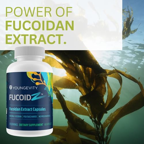 support your immune system naturally
