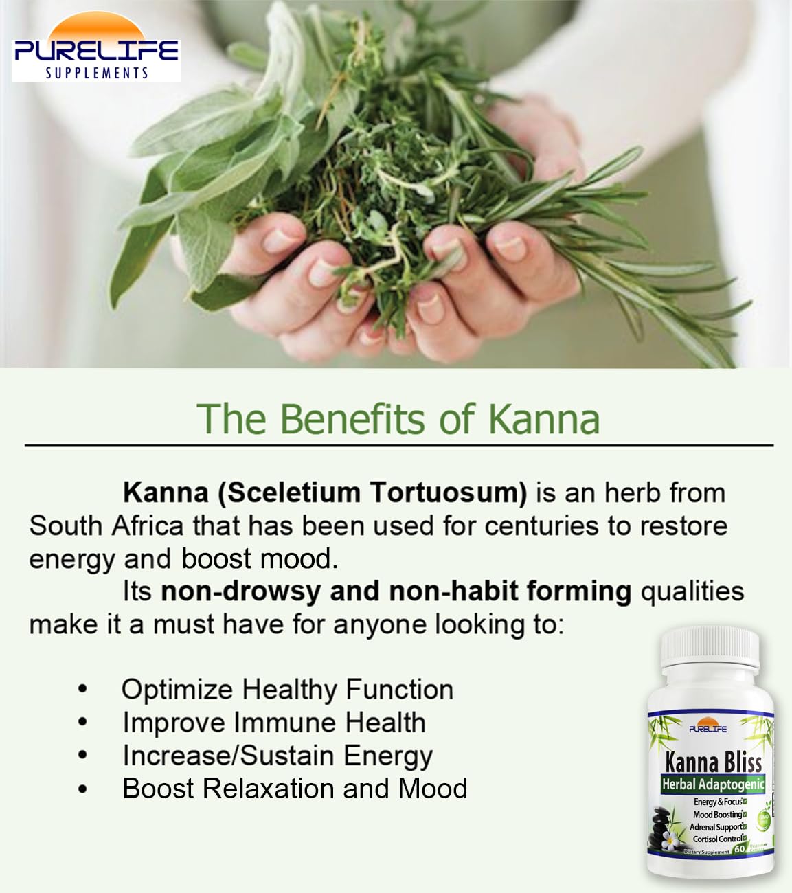 support your immune system naturally