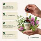 support your immune system naturally