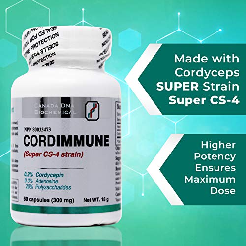 support your immune system naturally