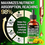 support your immune system naturally