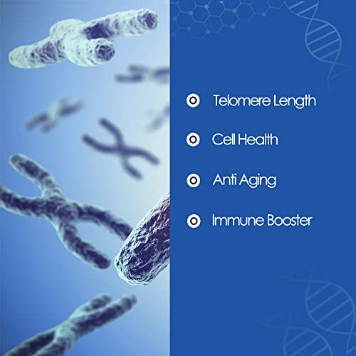 support your immune system naturally
