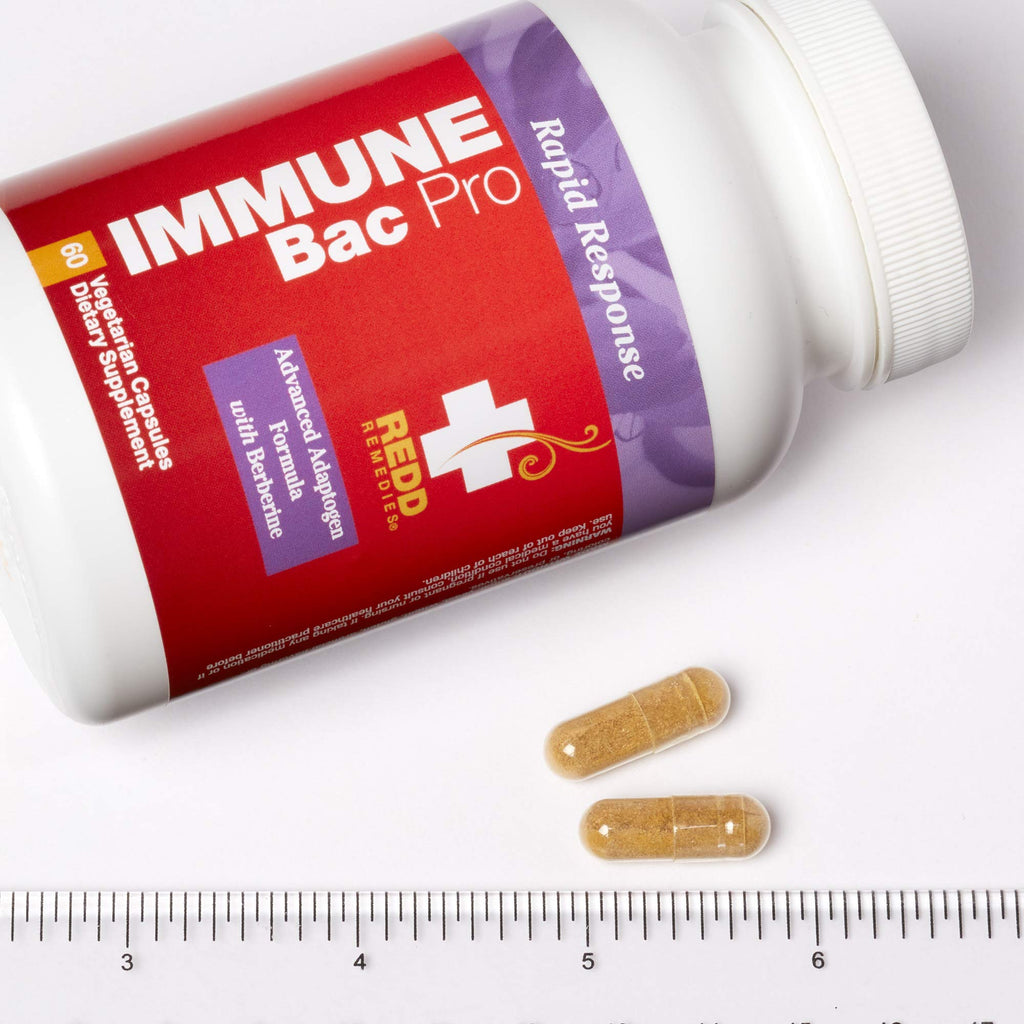 support your immune system naturally