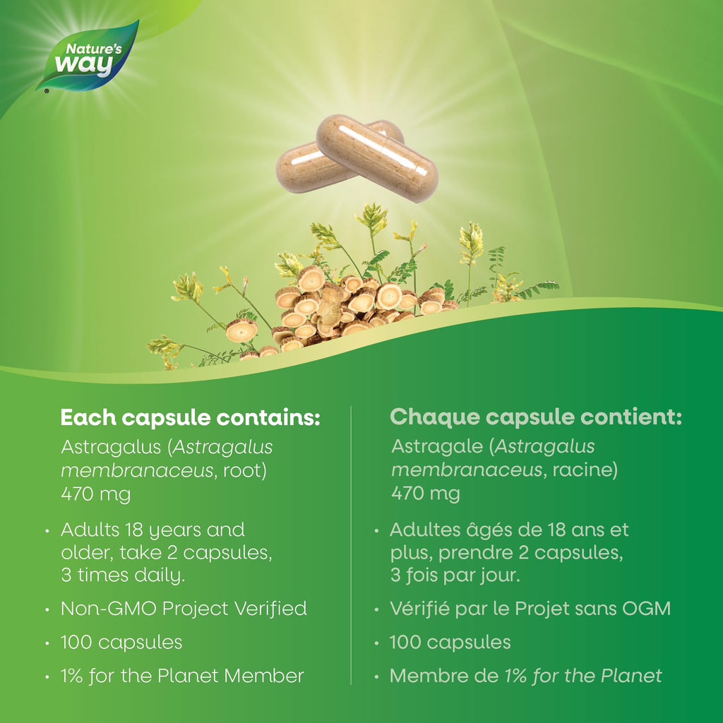 support your immune system with astragalus