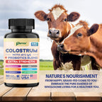 support your immune system with colostrum