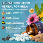 support your immune system with echinacea