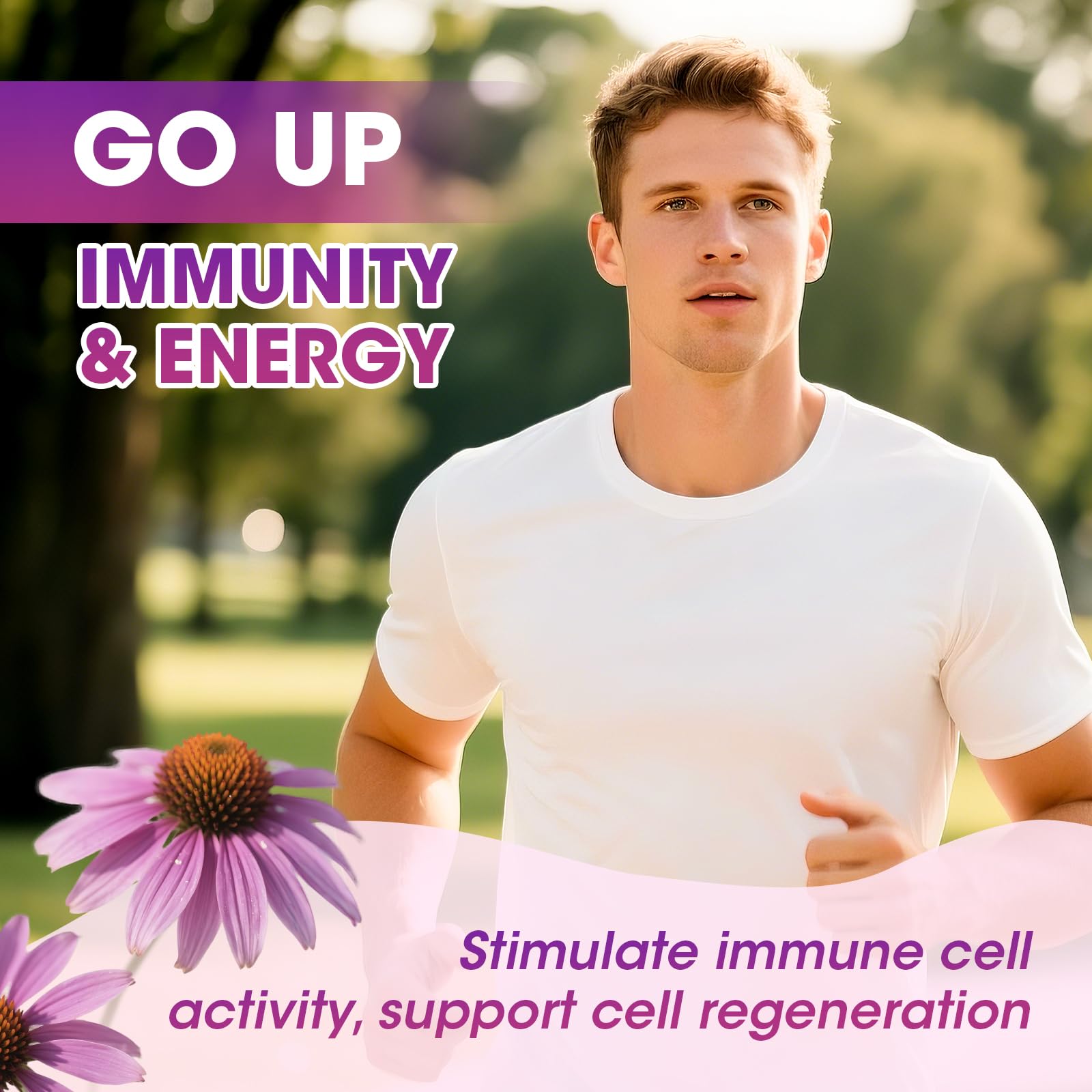 Support your immune system with echinacea